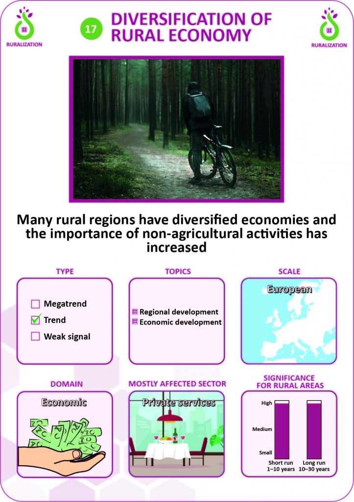 17. Diversification of rural economy – Rural Trends