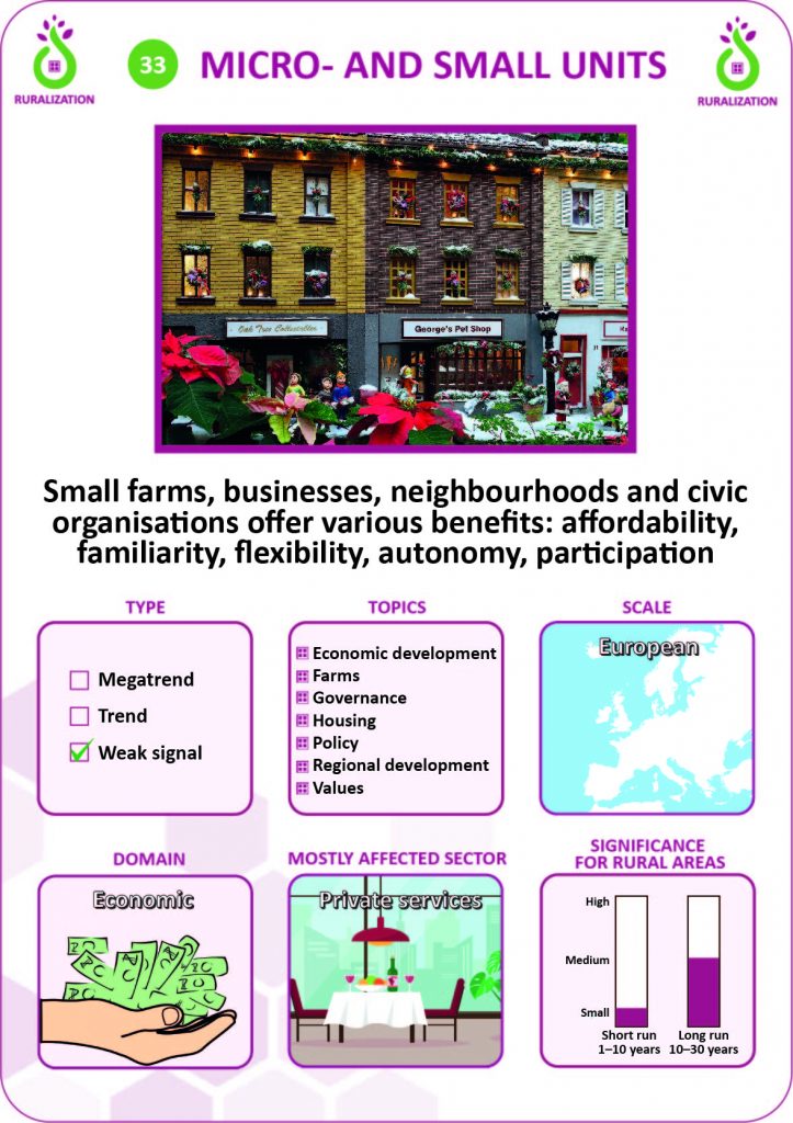 33. Micro- and small units – Rural Trends